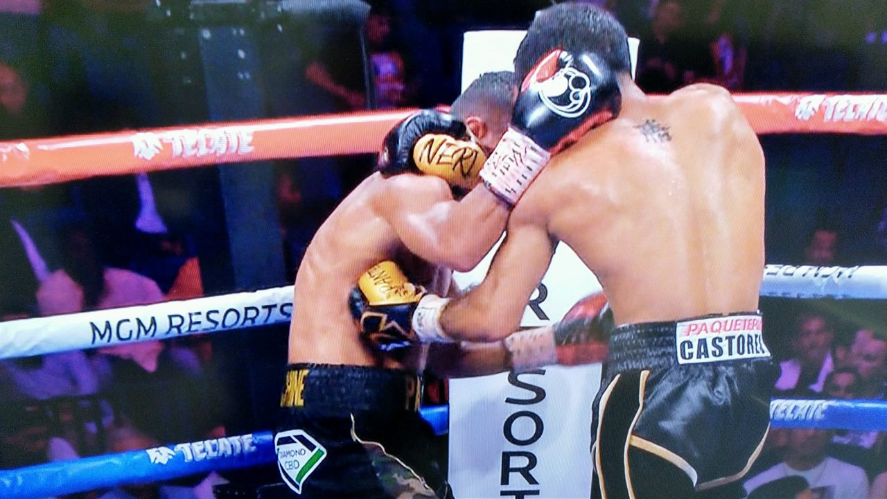 ルイス・ネリが11ラウンドTKO勝ちでWBC世界S・バンタム級挑戦者決定戦を制す VSアザト・ホバニシャン（2月19日午前10時からDAZNで生配信予定） | わしのボクシングブログ「わしボク」